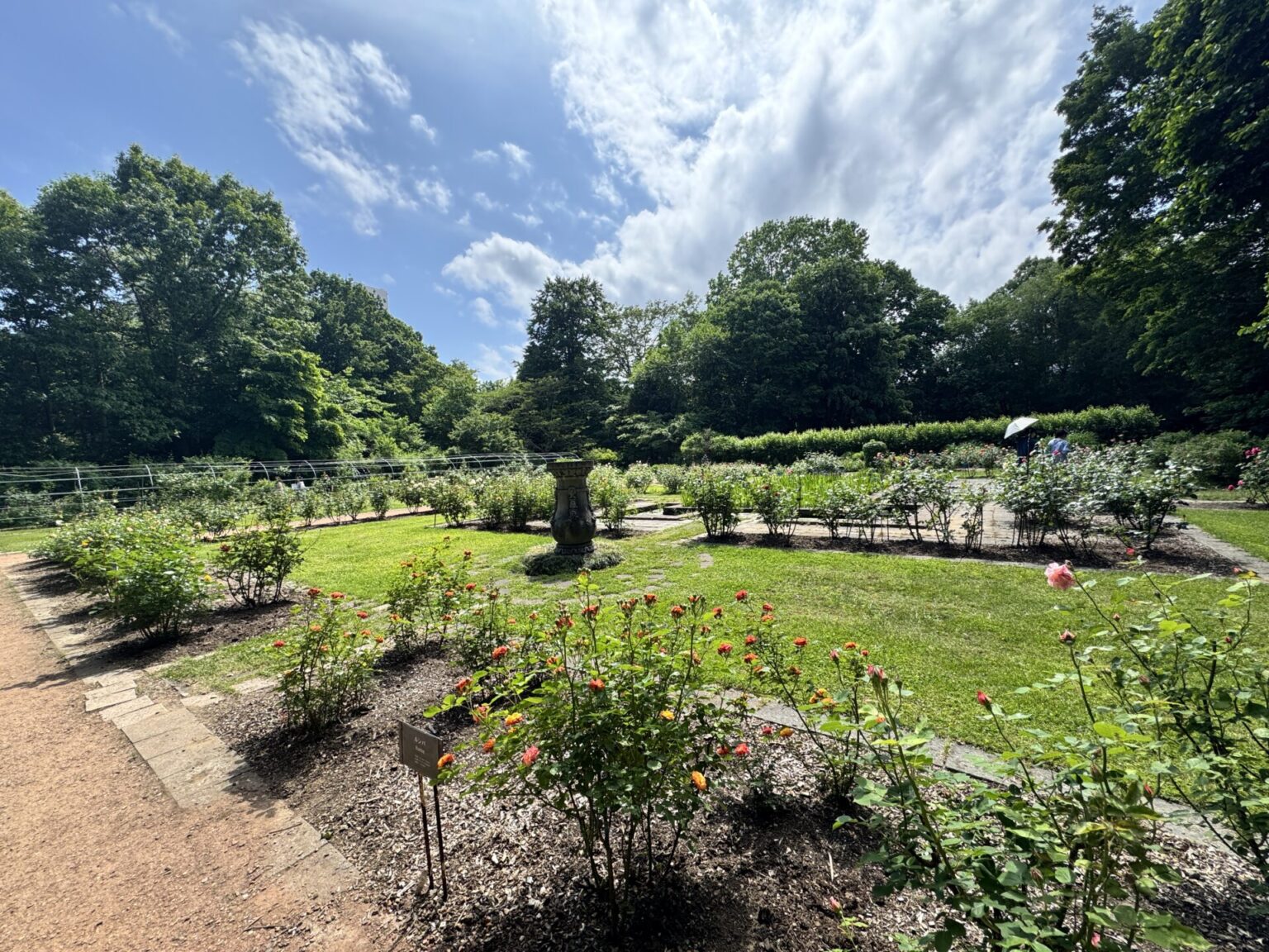【宿泊記】ドーミーインPREMIUM札幌の朝食ビュッフェ｜HafHでお試し移住ライフ